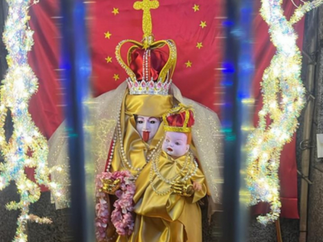 Case registered against a priest who decorated the idol of Shri Kali ...
